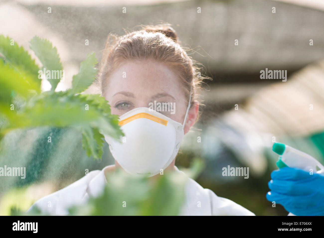 Spraying liquid hi-res stock photography and images - Alamy