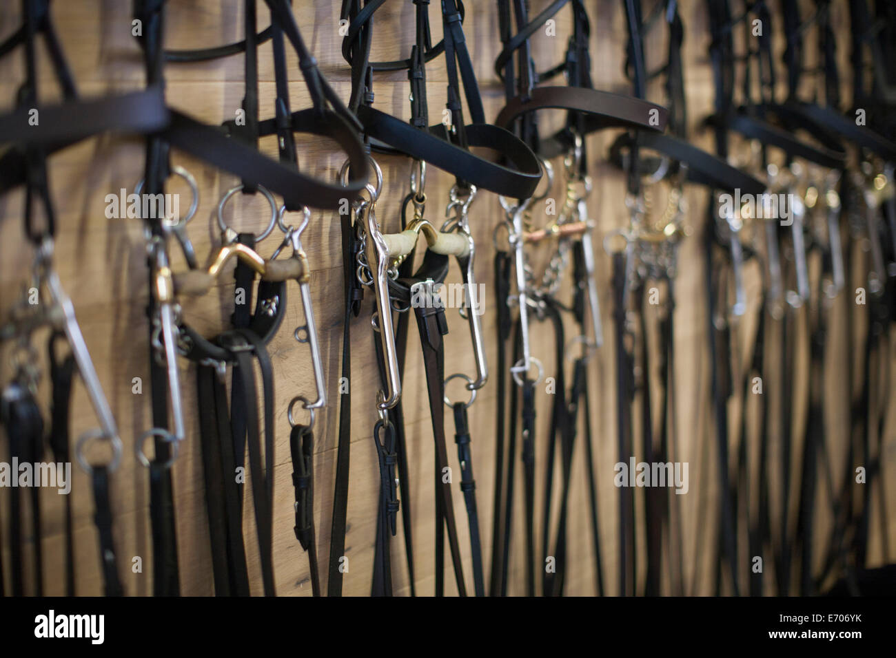 Row of bridles hanging up in stables Stock Photo - Alamy