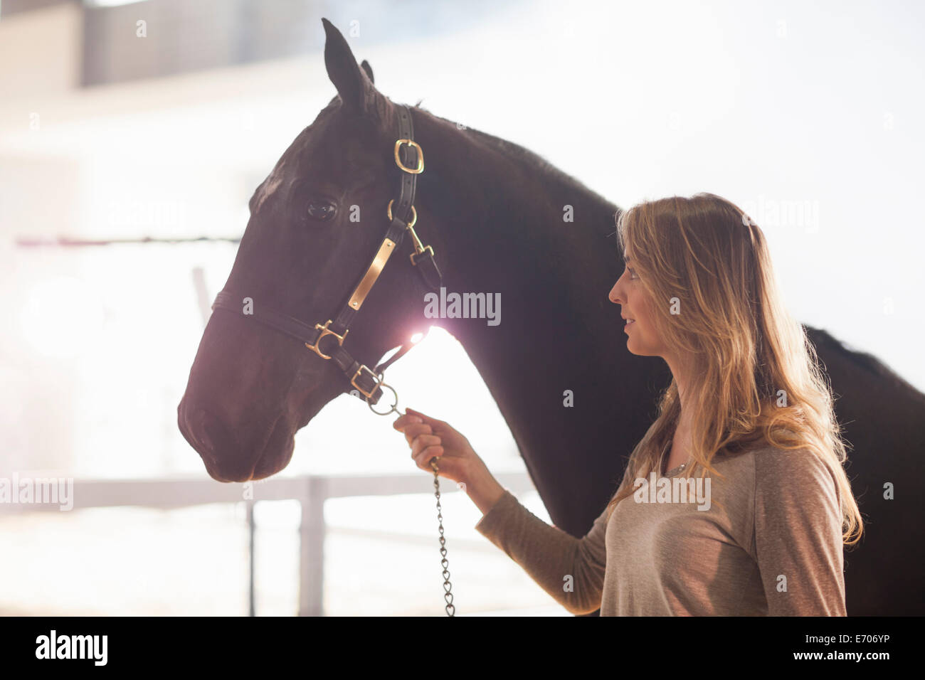 Nervous horse hi-res stock photography and images - Alamy
