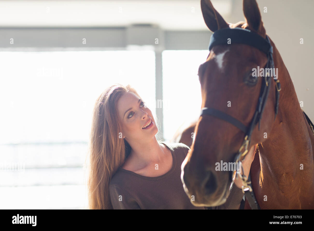 Female stablehand with chestnut horse in stable Stock Photo - Alamy