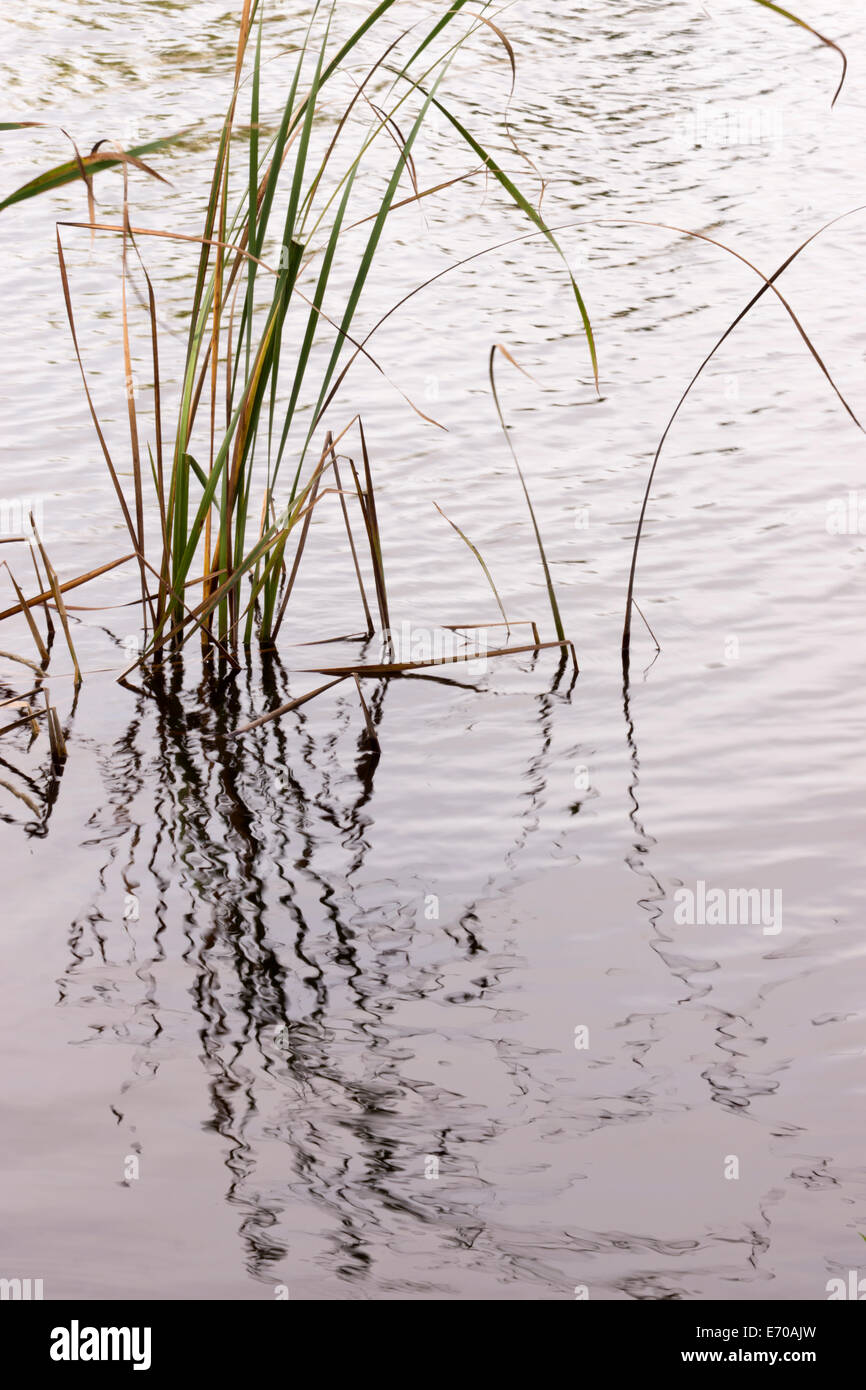 Bending river hi-res stock photography and images - Alamy