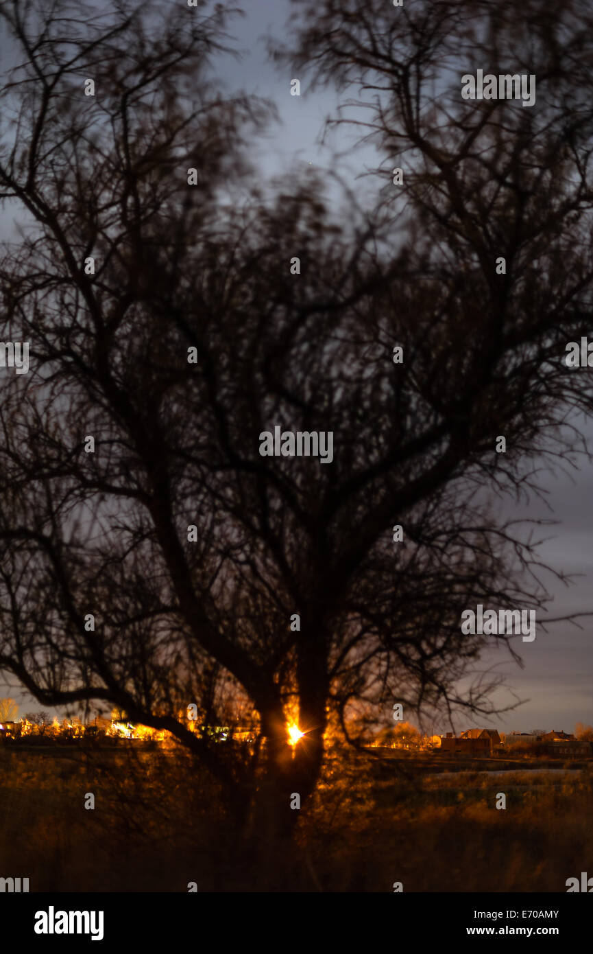 Scary fairy hi-res stock photography and images - Alamy