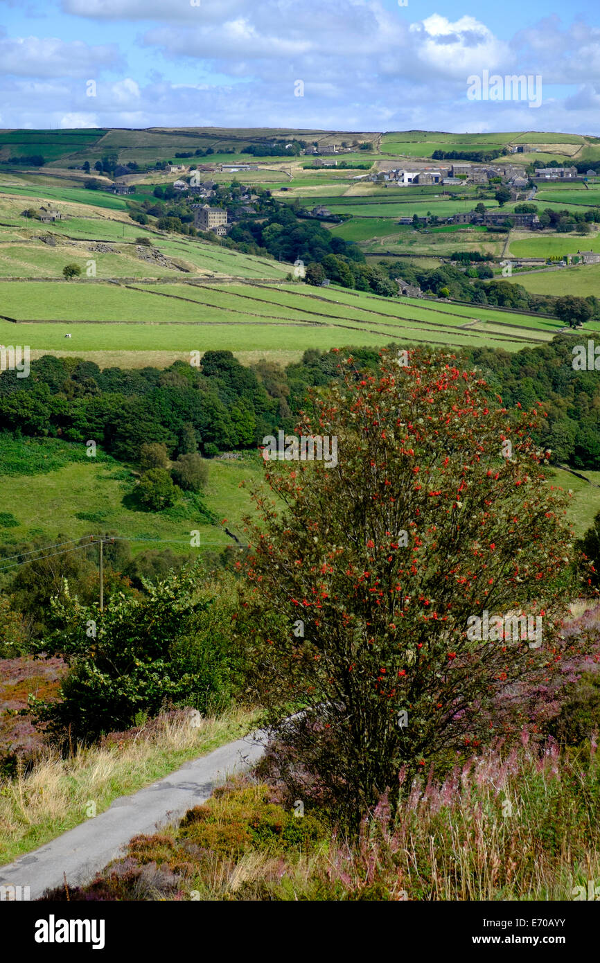 Luddenden dean hi-res stock photography and images - Alamy