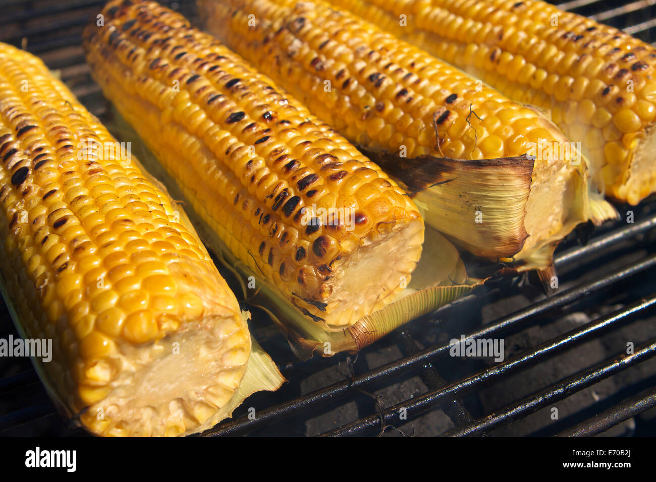 Fresh sweet corn grilling on an outdoor barbecue Stock Photo - Alamy