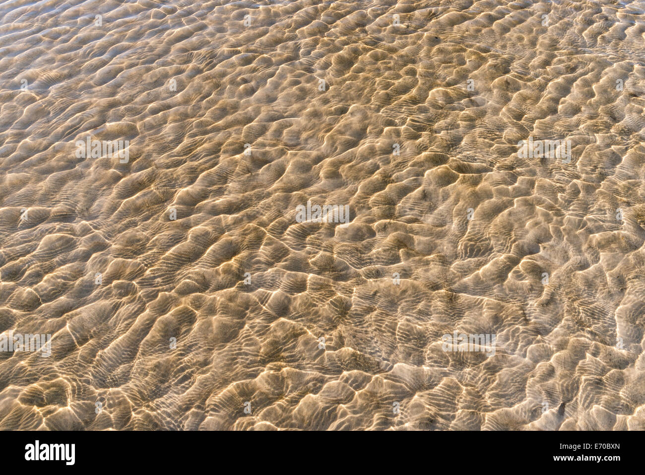 Clear water ripples on sandy beach, Noordhoek, cape Town, South Africa ...