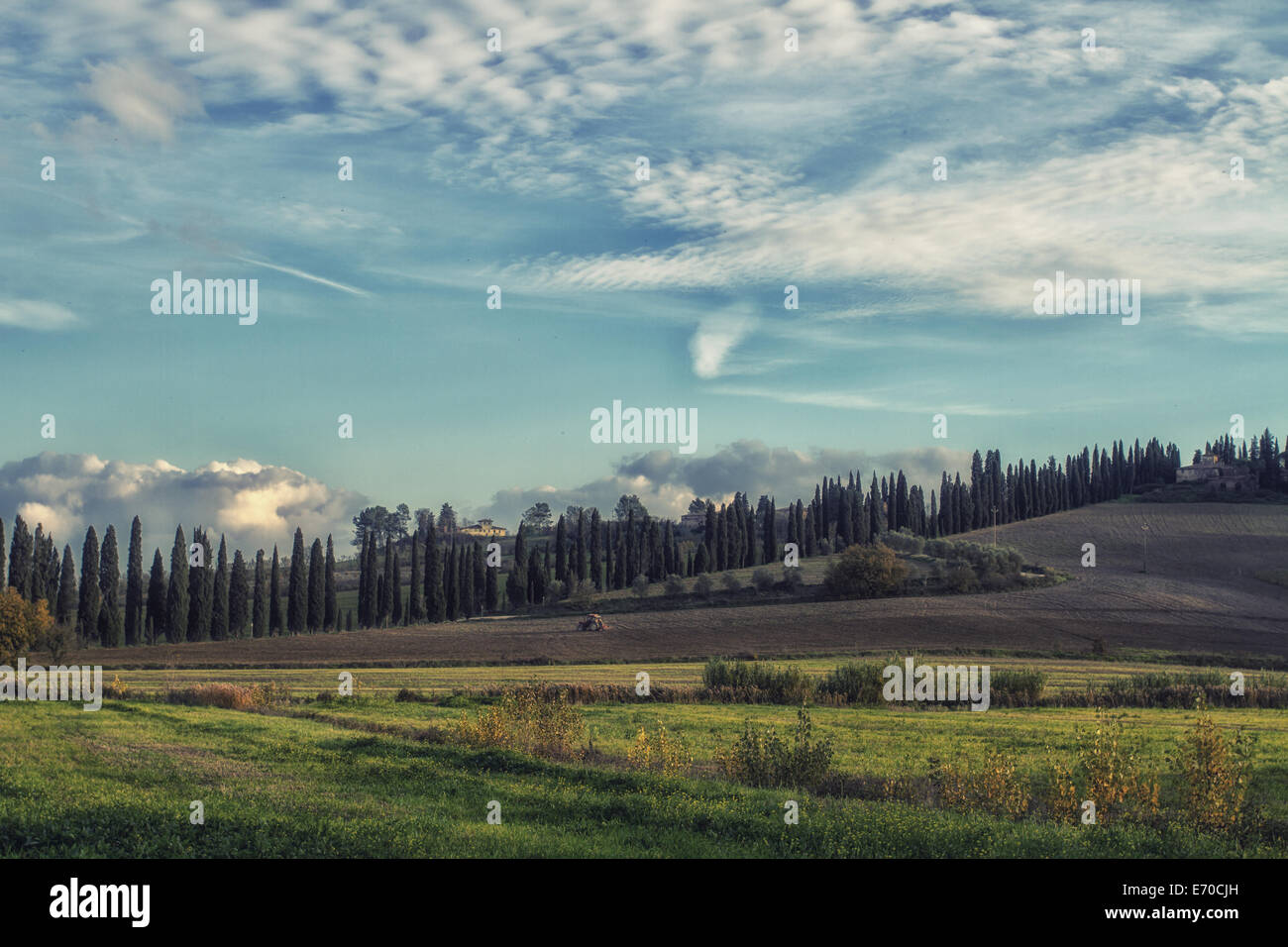 Early morning on Tuscany Stock Photo - Alamy