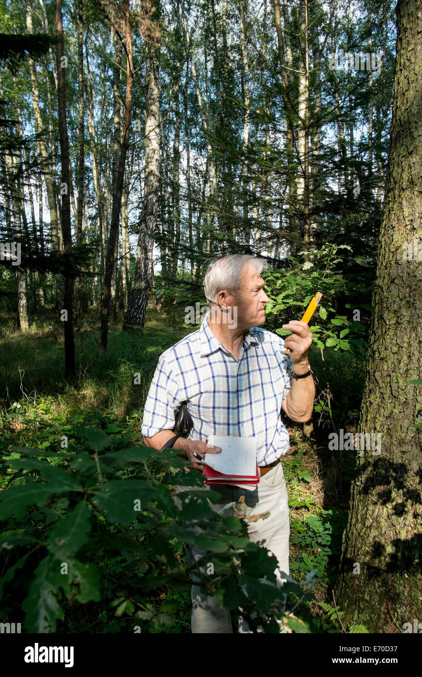 man forest tree trees Stock Photo - Alamy