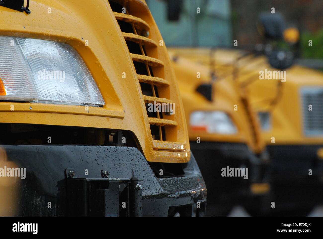 School Buses Parked Stock Photo - Alamy