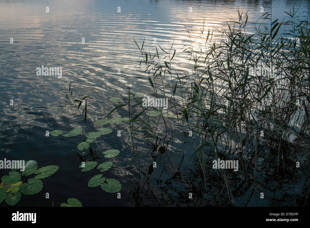 scenic lake Poland dramatic sky Stock Photo - Alamy