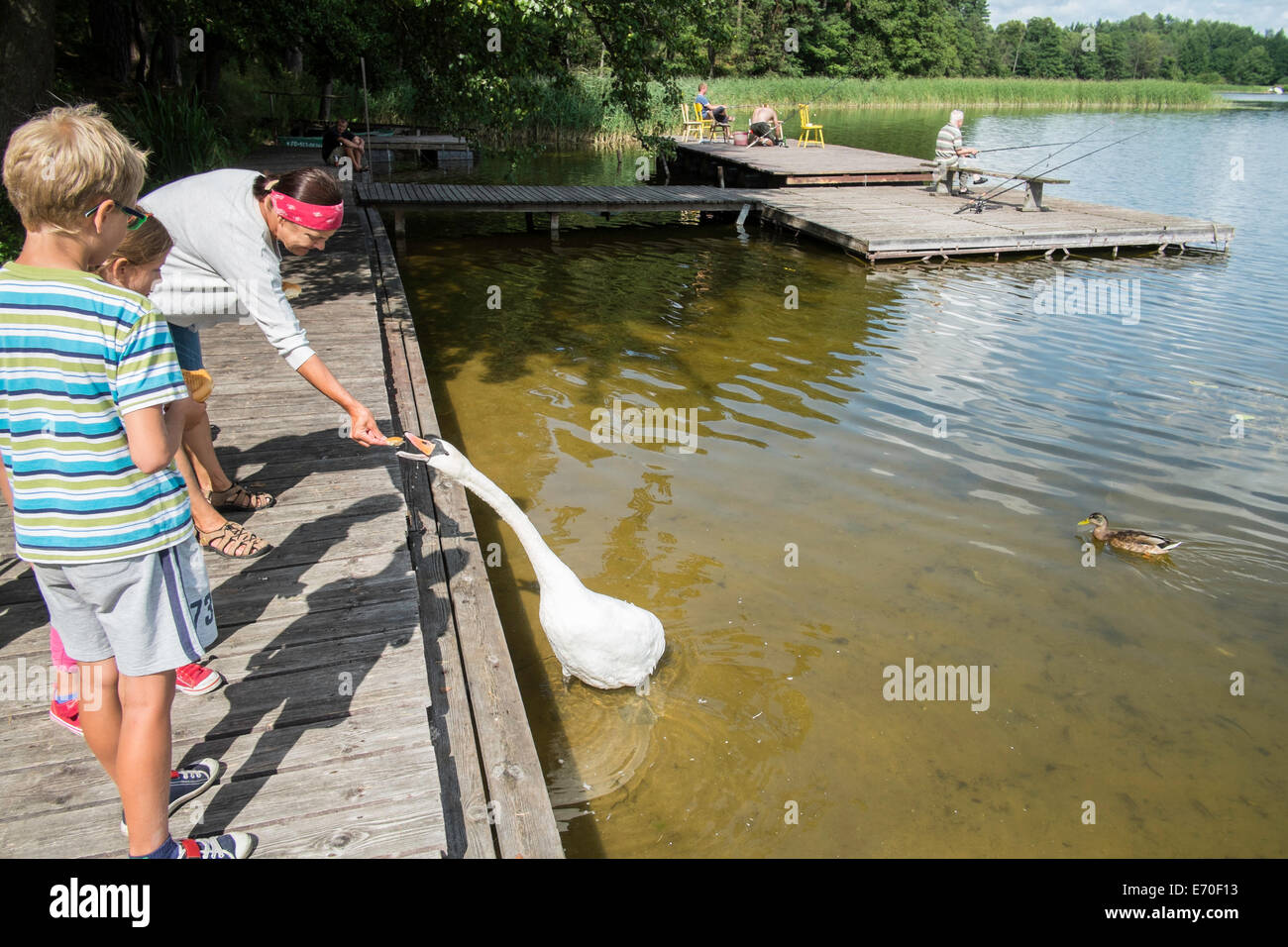 Lake Pomorze, Giby, Poland Stock Photo - Alamy