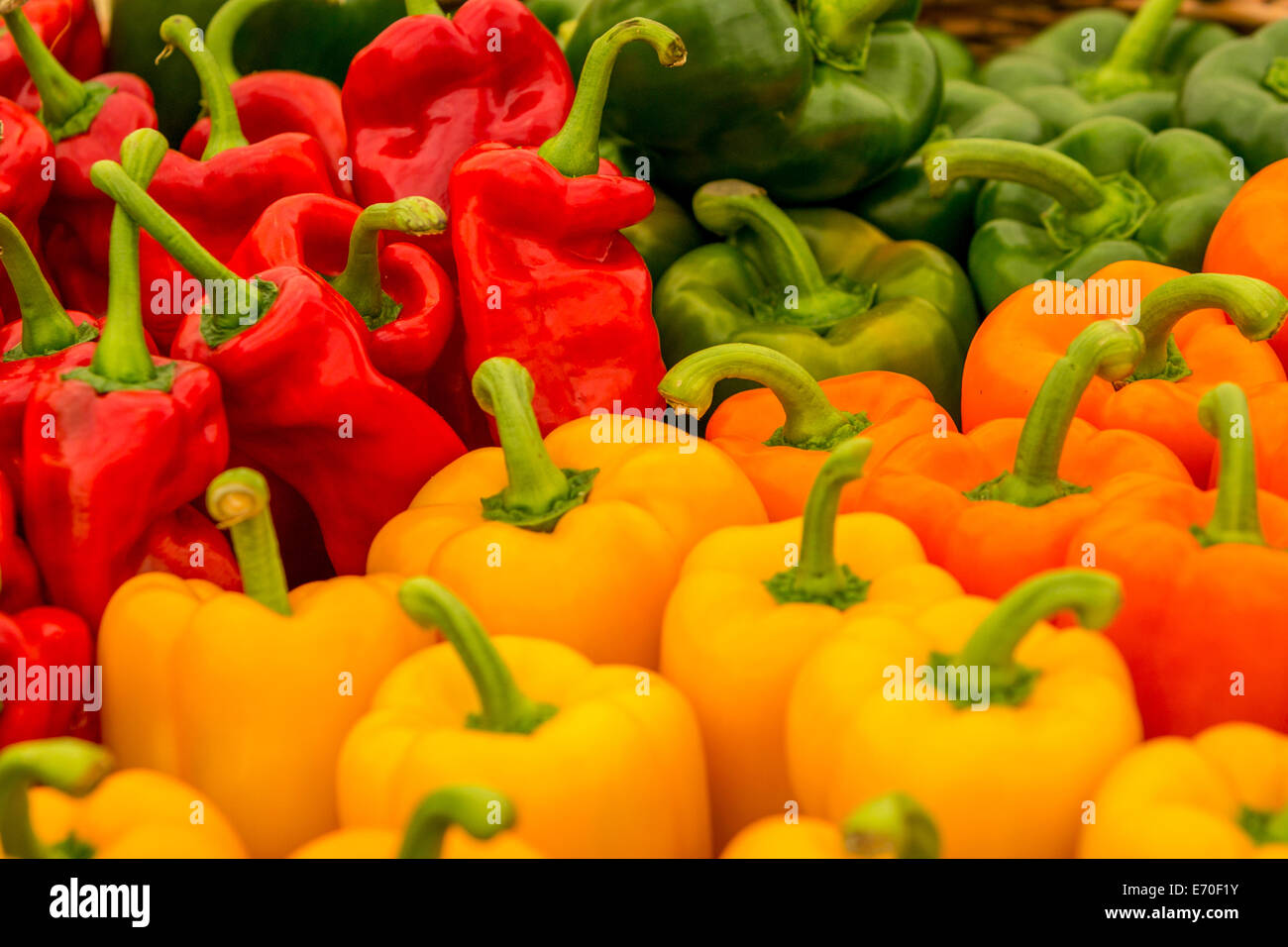 Red orange yellow green peppers hi-res stock photography and images - Alamy