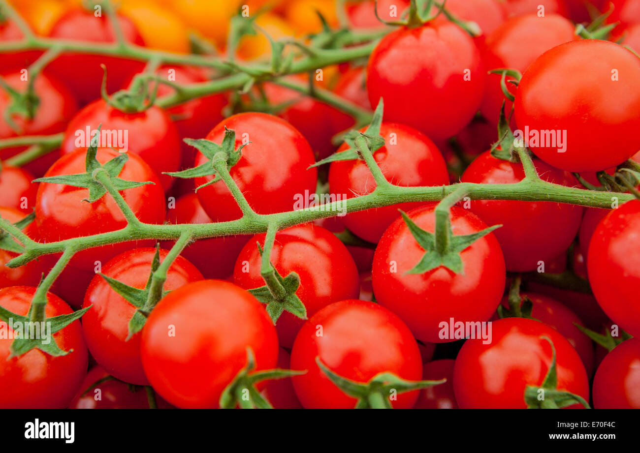 Tomato colour hi-res stock photography and images - Alamy