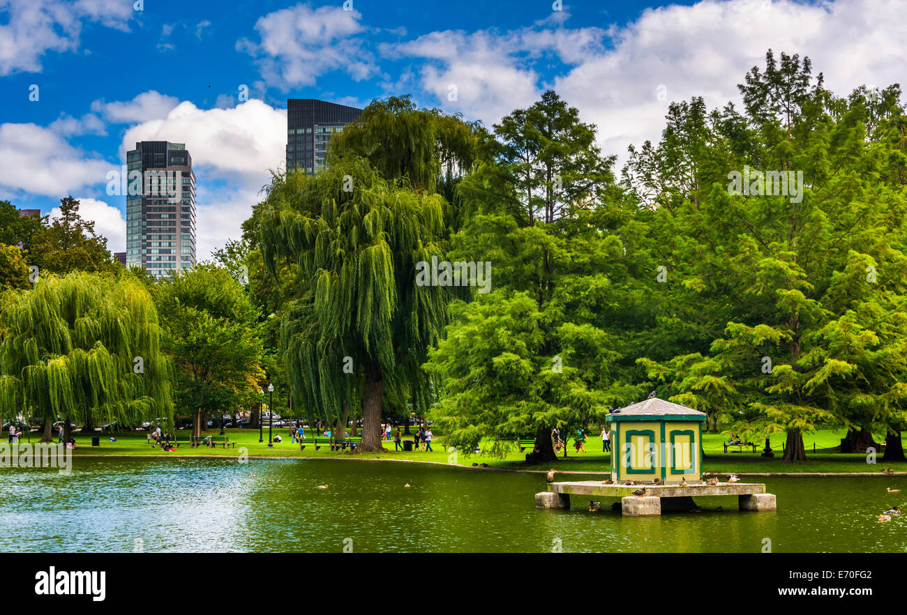 Pond in the Public Garden and buildings in Boston, Massachusetts Stock ...