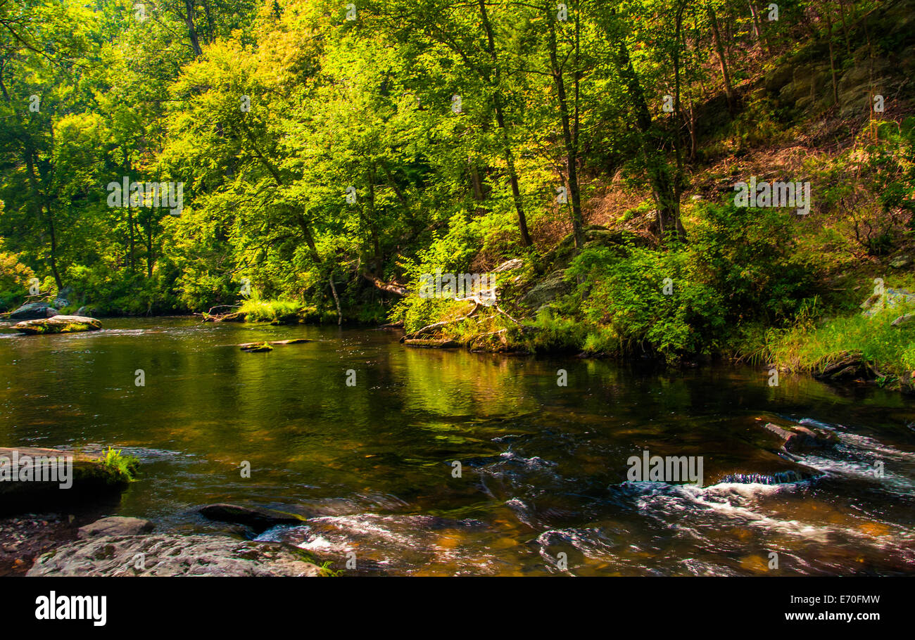 Gunpowder Falls High Resolution Stock Photography and Images - Alamy