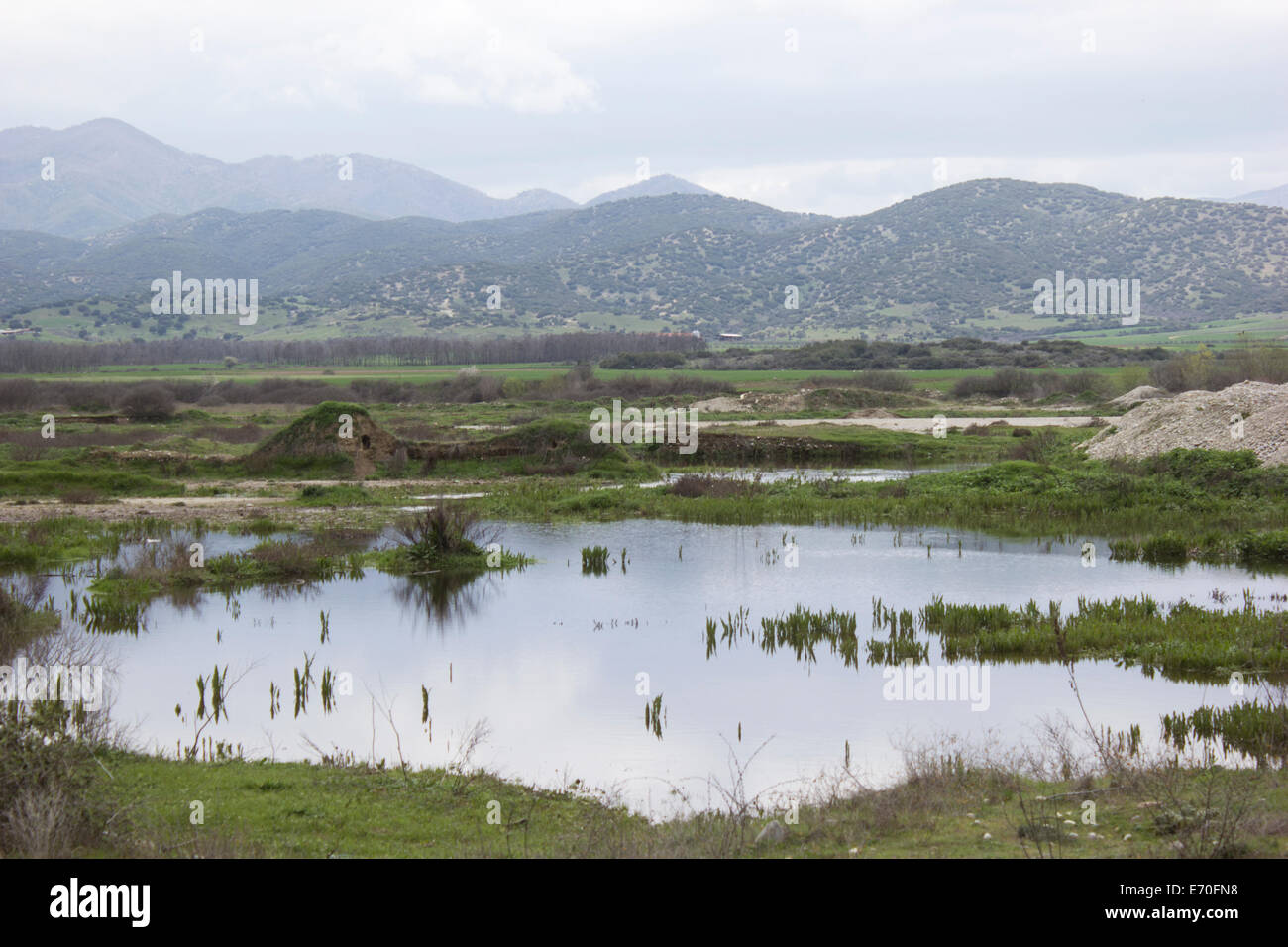 Marsh river hi-res stock photography and images - Alamy