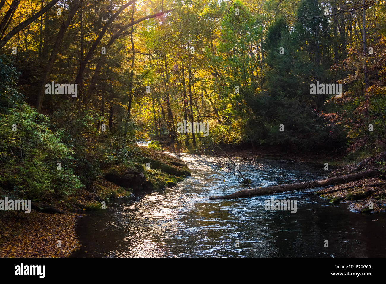 Evening light on the Gunpowder River in Gunpowder Falls State Park ...
