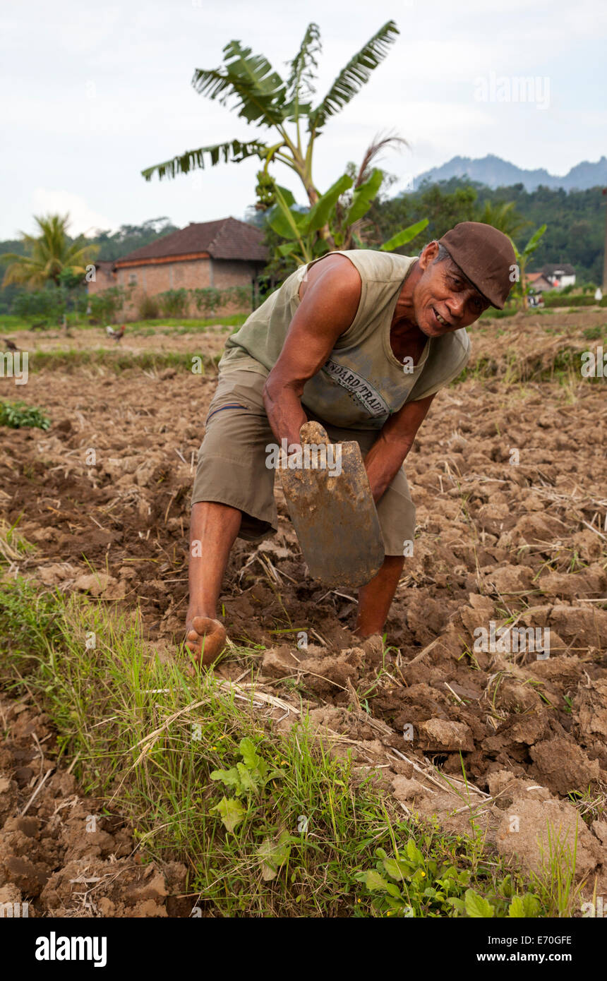 Hoeing High Resolution Stock Photography and Images - Alamy