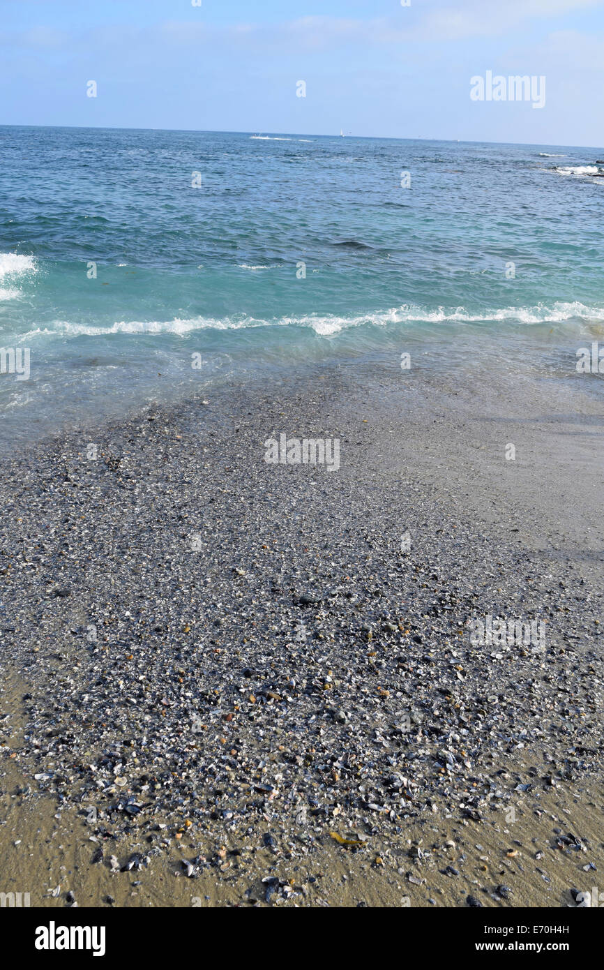 Sea Shells in Laguna Beach Stock Photo - Alamy