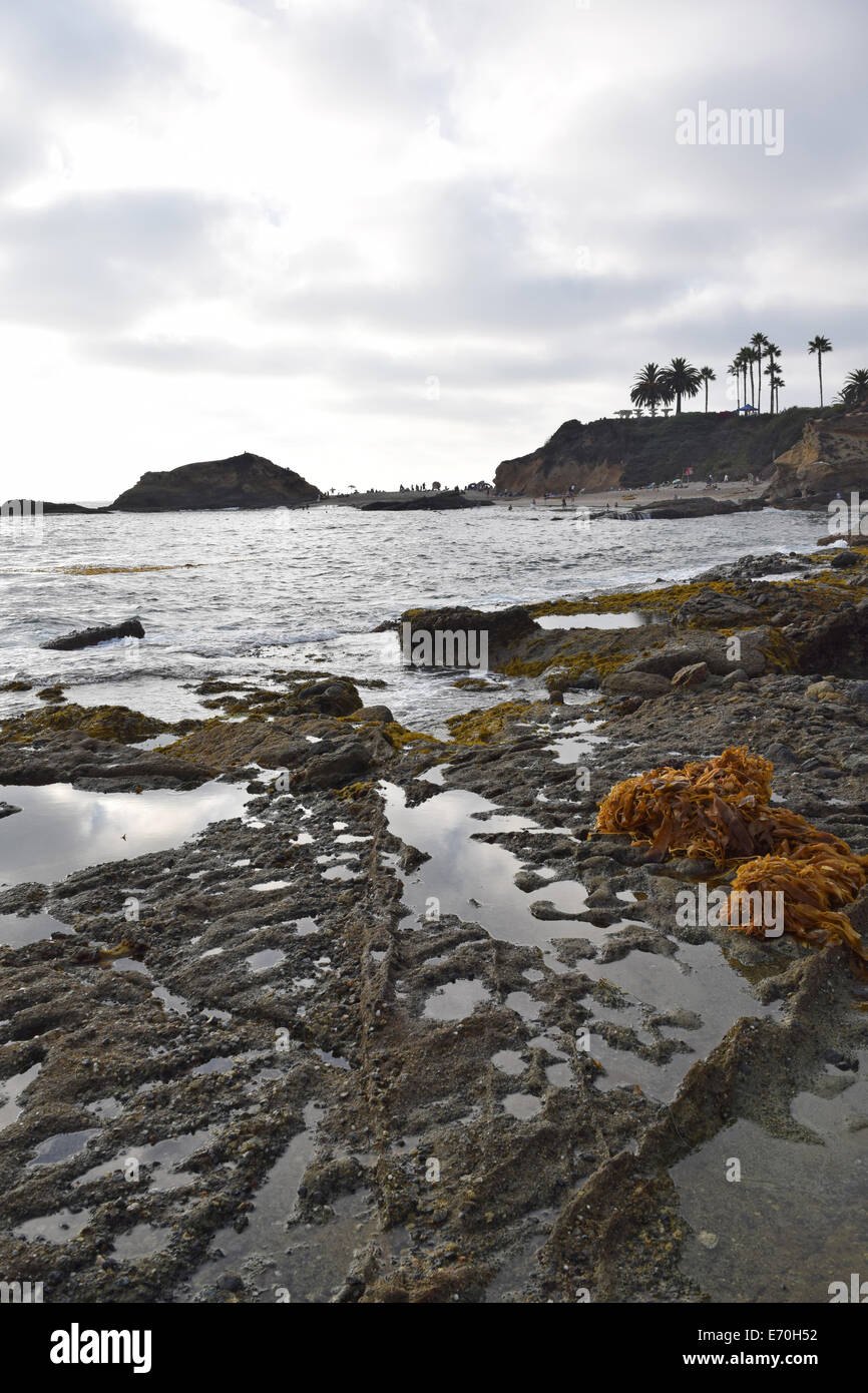 Laguna Tide Pools Stock Photo - Alamy