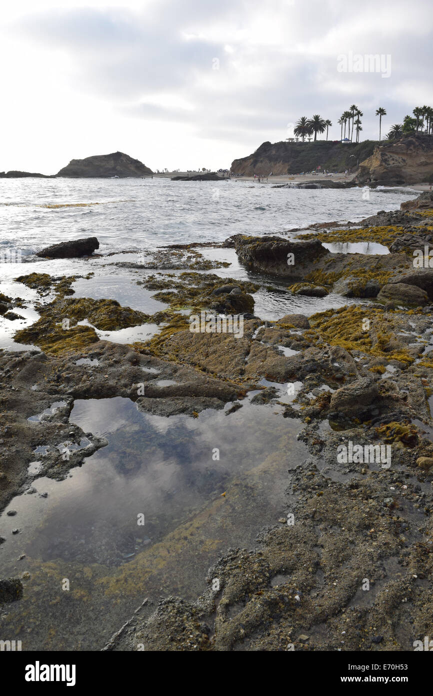 Laguna Tide Pools Stock Photo - Alamy