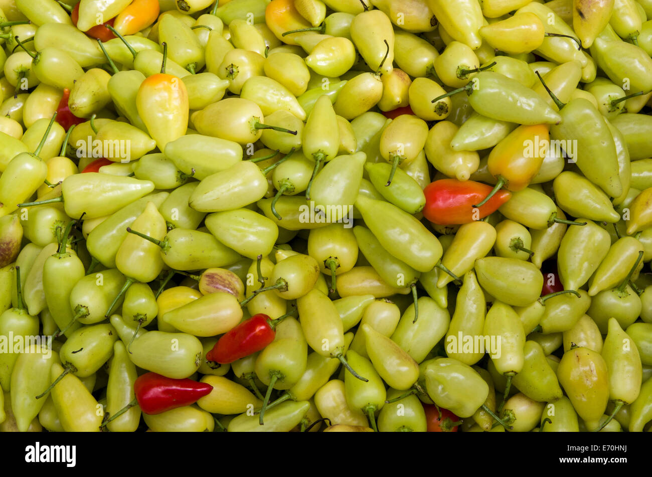 Tingo group hi-res stock photography and images - Alamy