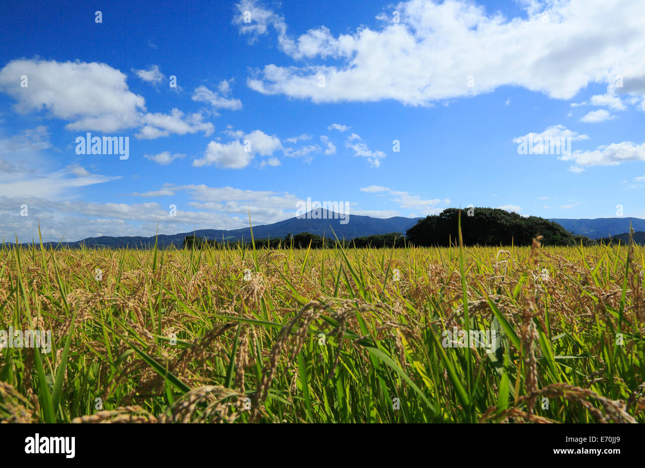 Iwate High Resolution Stock Photography and Images - Alamy