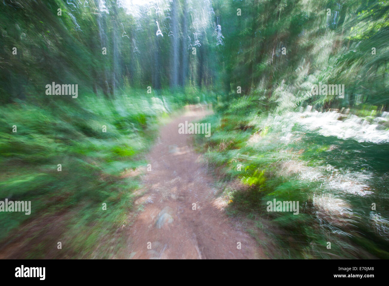 blurry motion image of forest trail Stock Photo - Alamy