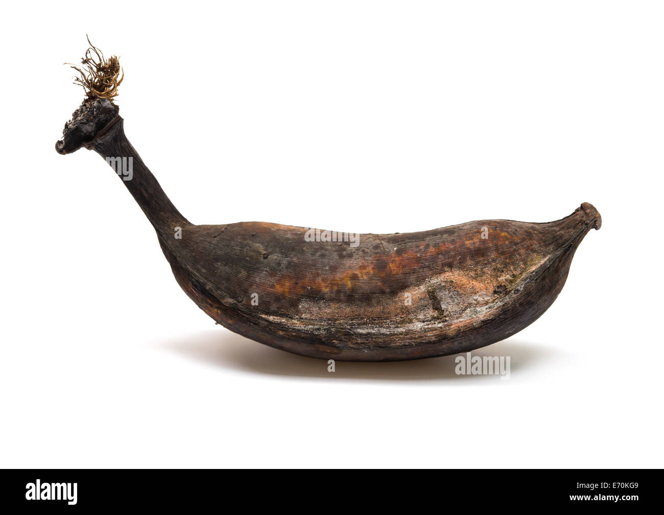 Black banana hi-res stock photography and images - Alamy