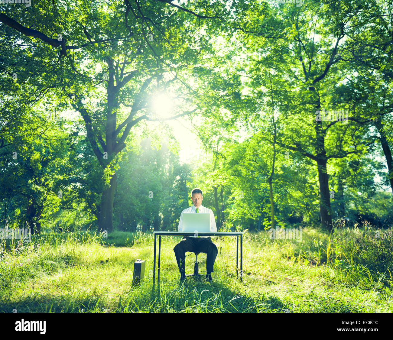 Business and nature hi-res stock photography and images - Alamy