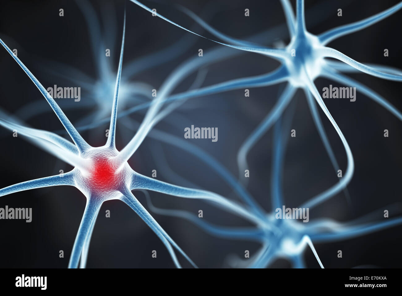 Brain neurons hi-res stock photography and images - Alamy