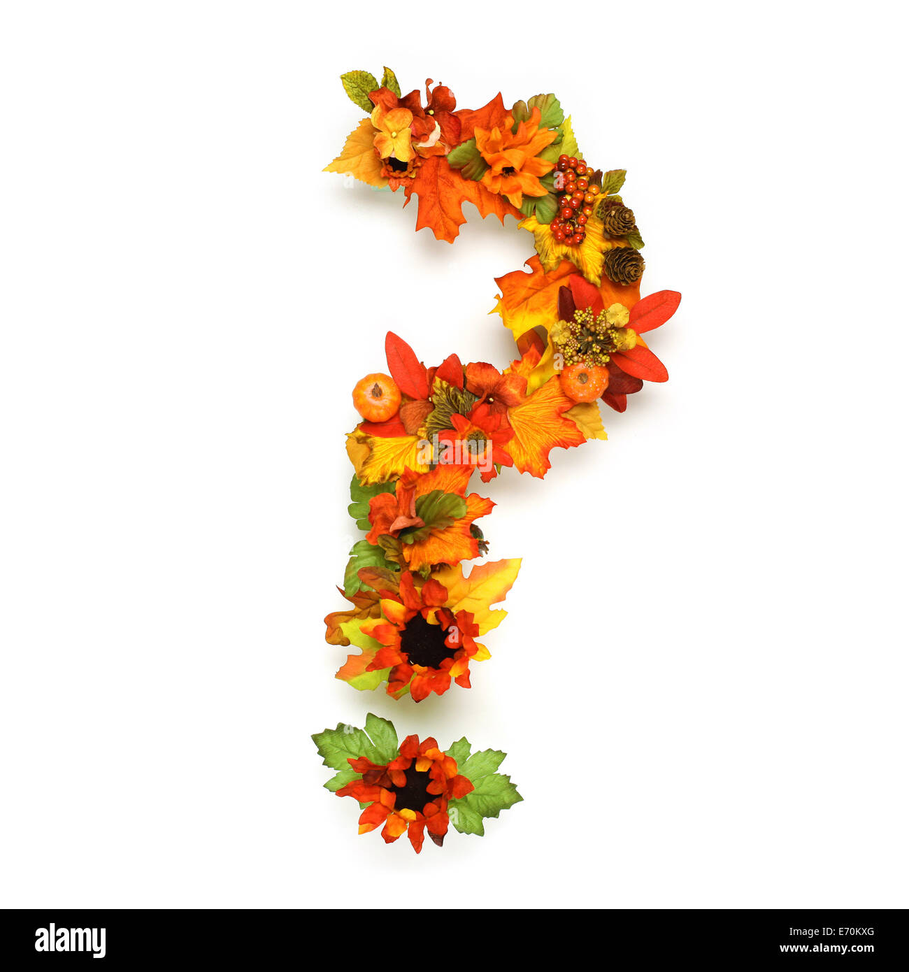 Autumn alphabet - question mark Stock Photo - Alamy
