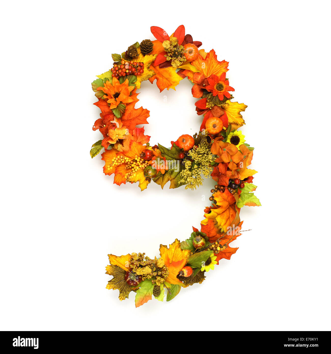Numbers made leaves flowers hi-res stock photography and images - Alamy