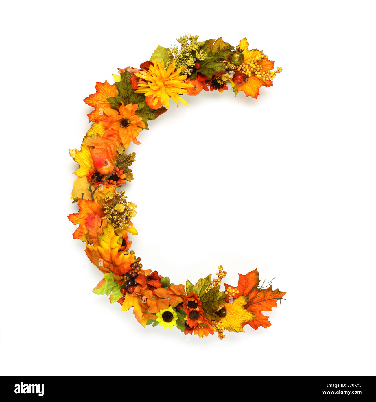 Alphabet plant hi-res stock photography and images - Alamy