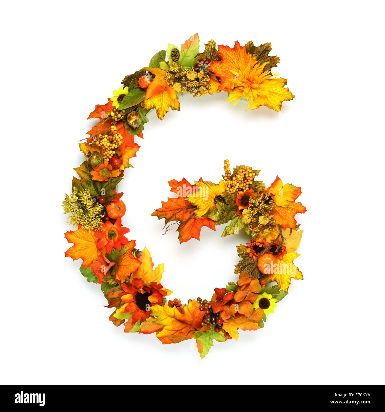 Alphabet plant hi-res stock photography and images - Alamy