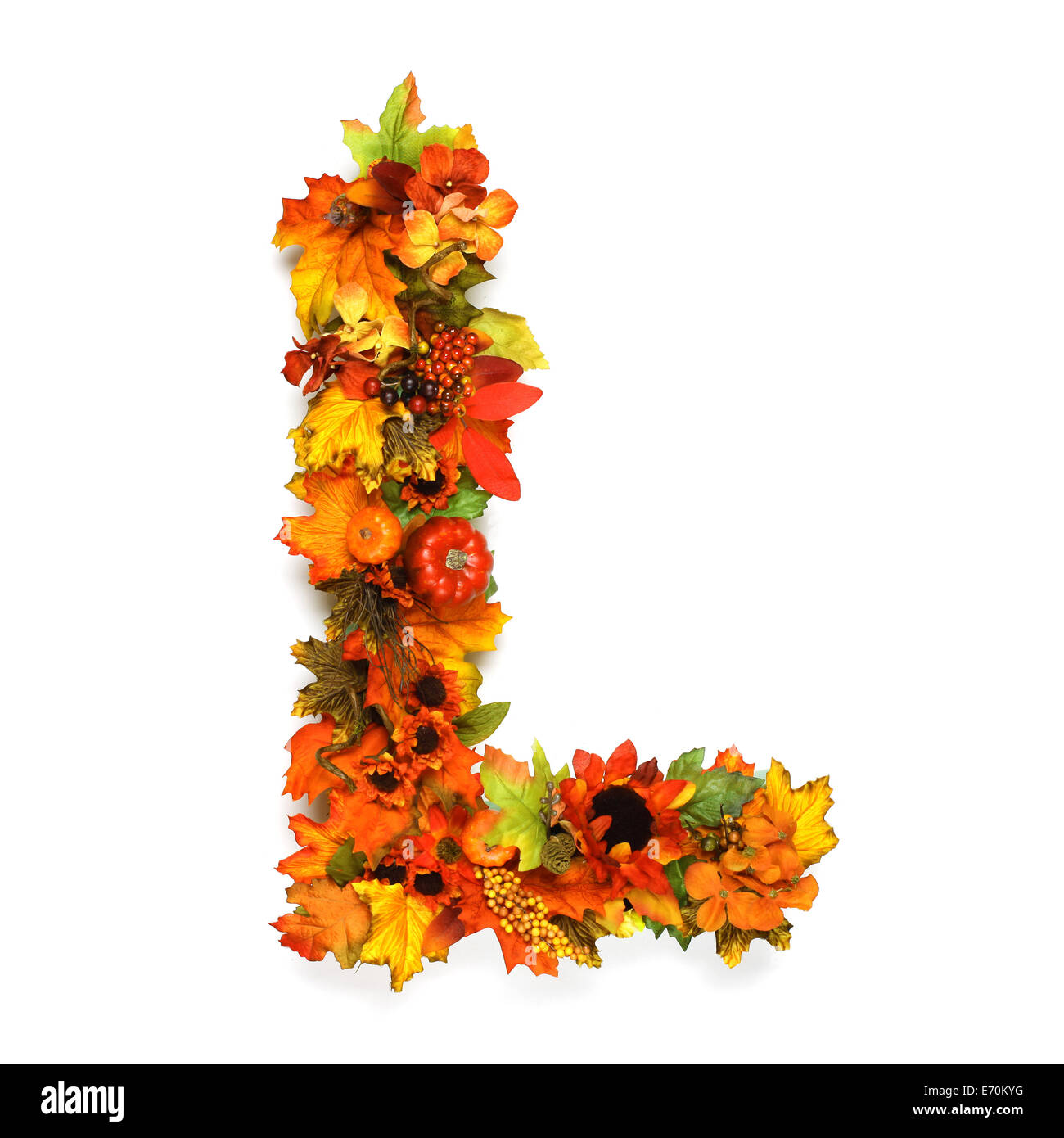 Autumn alphabet Stock Photo - Alamy