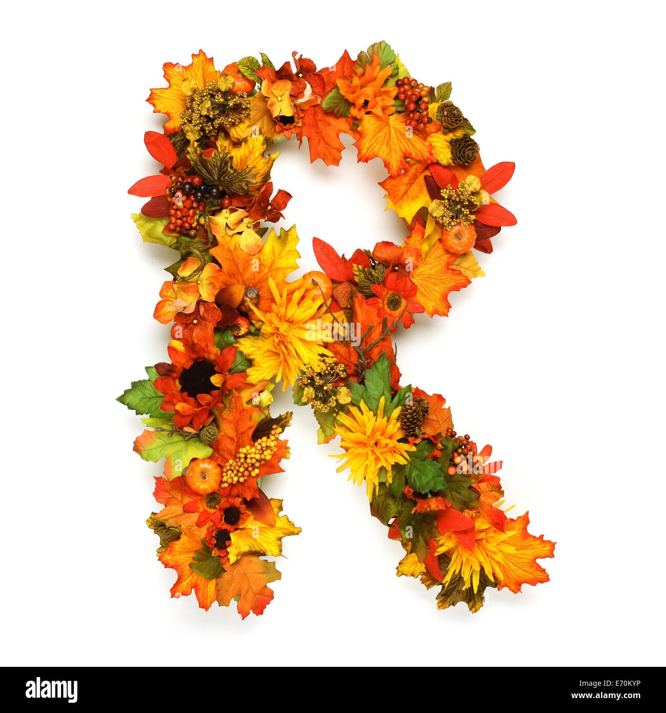 Letter R Flowers High Resolution Stock Photography and Images - Alamy
