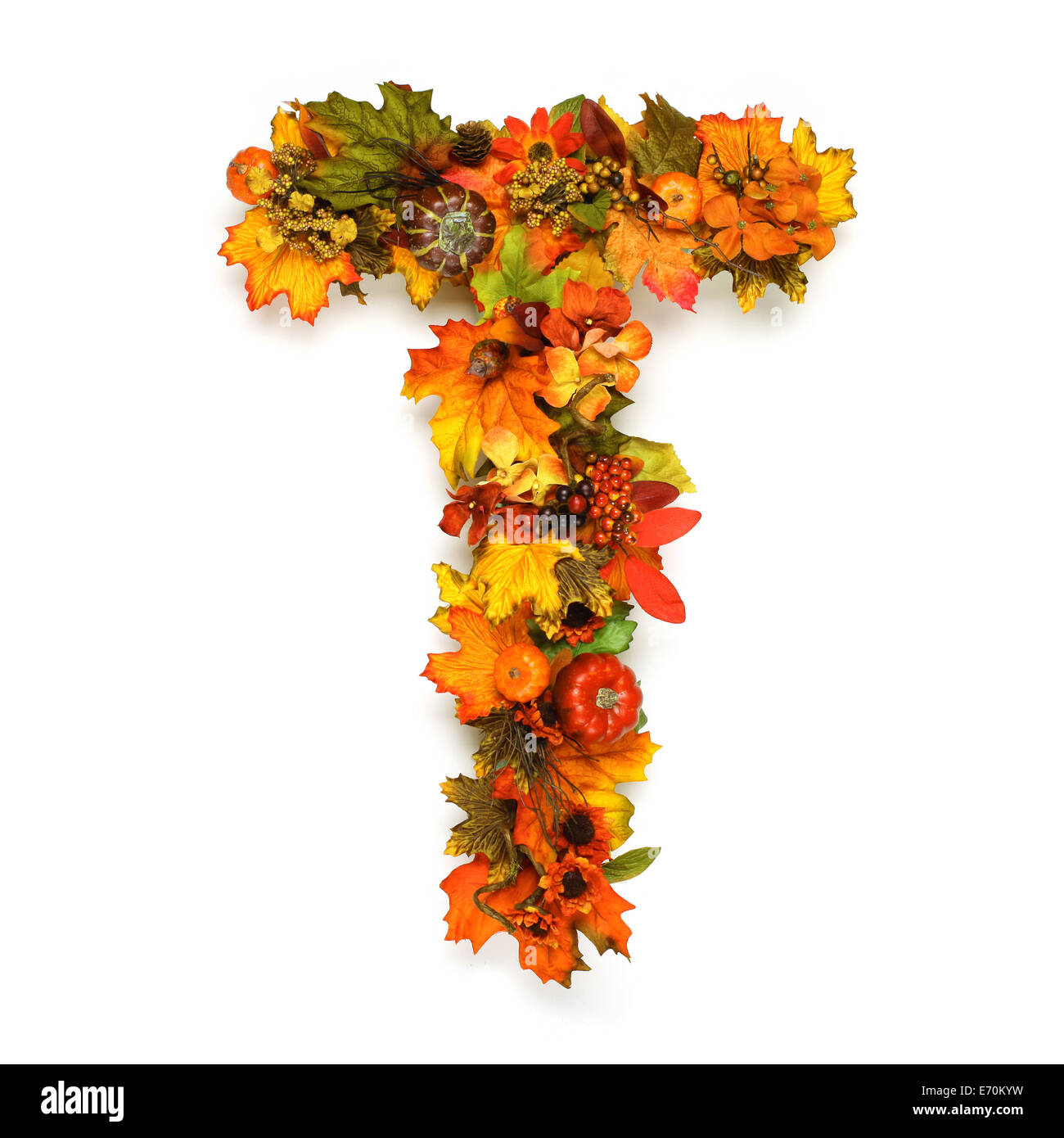T alphabet letters hi-res stock photography and images - Alamy