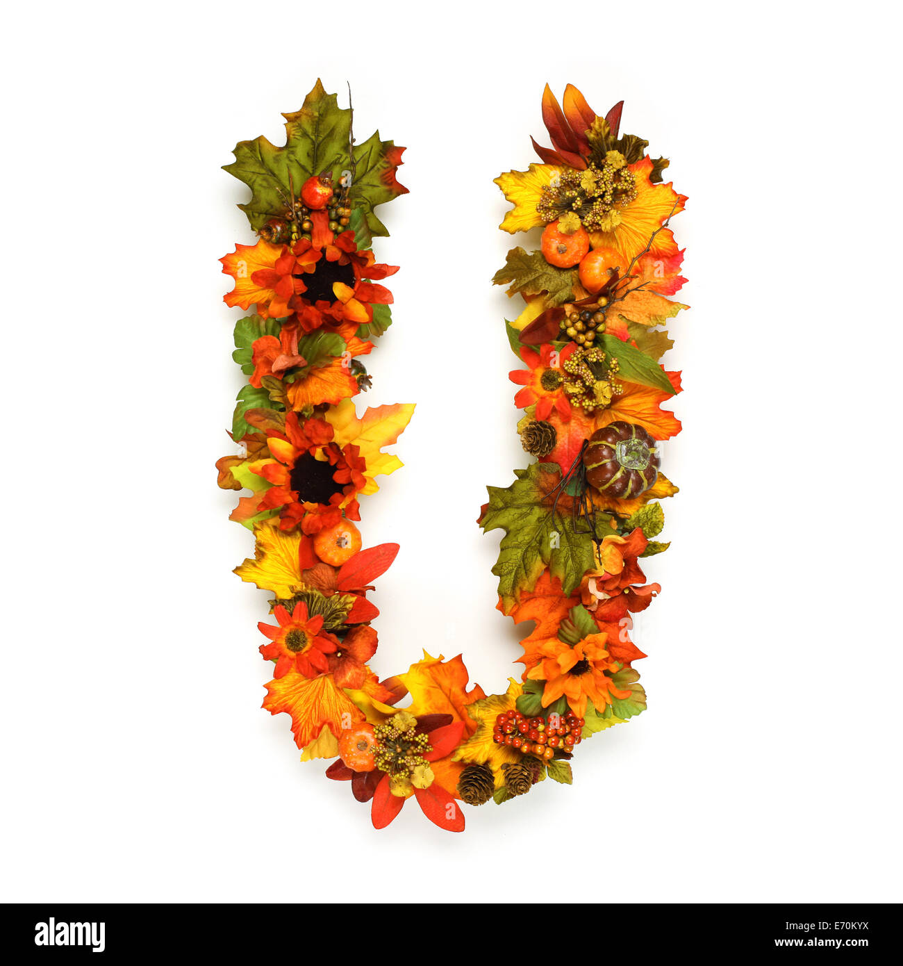 Autumn alphabet hi-res stock photography and images - Alamy