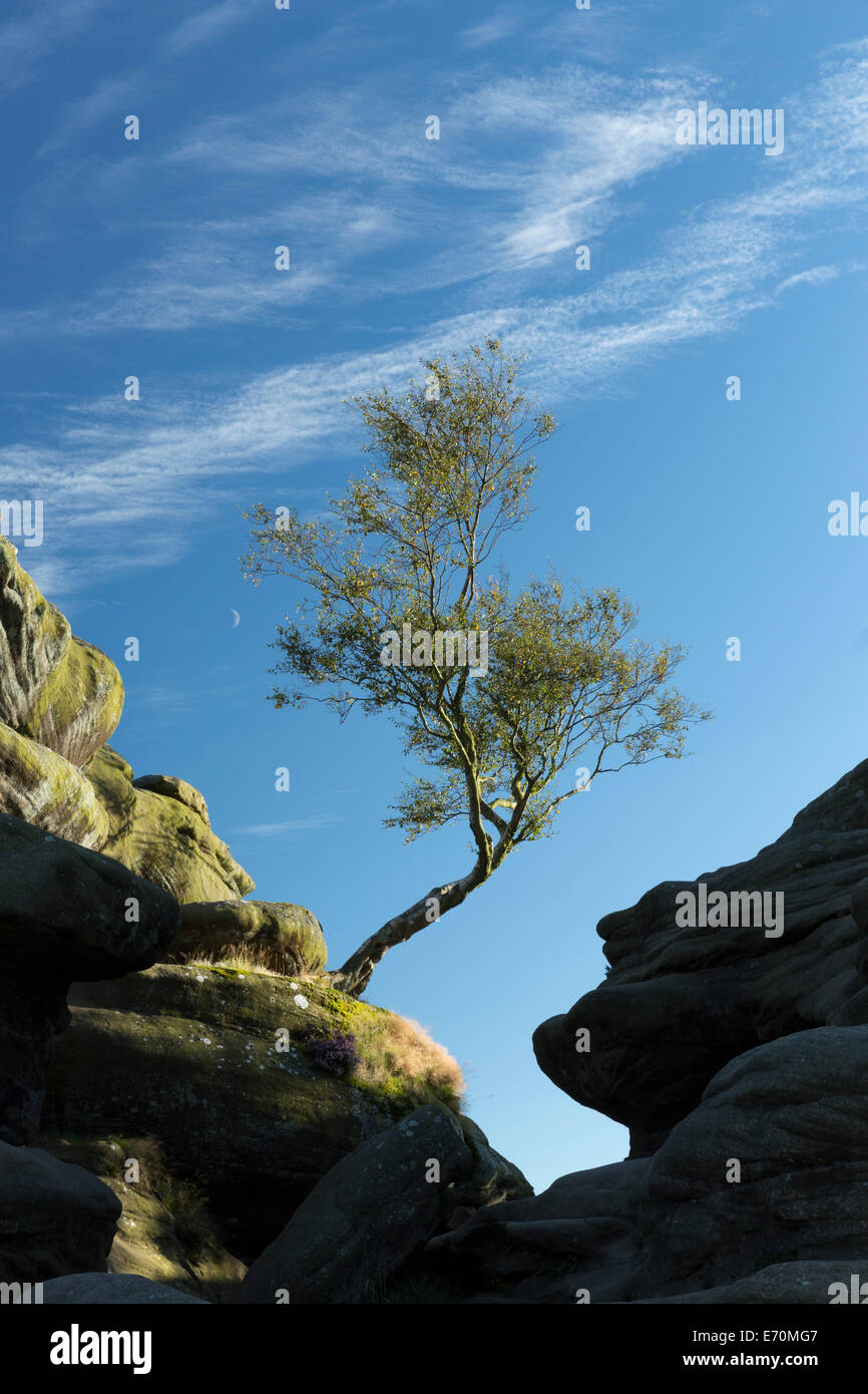 Rock Formations In Yorkshire High Resolution Stock Photography and ...