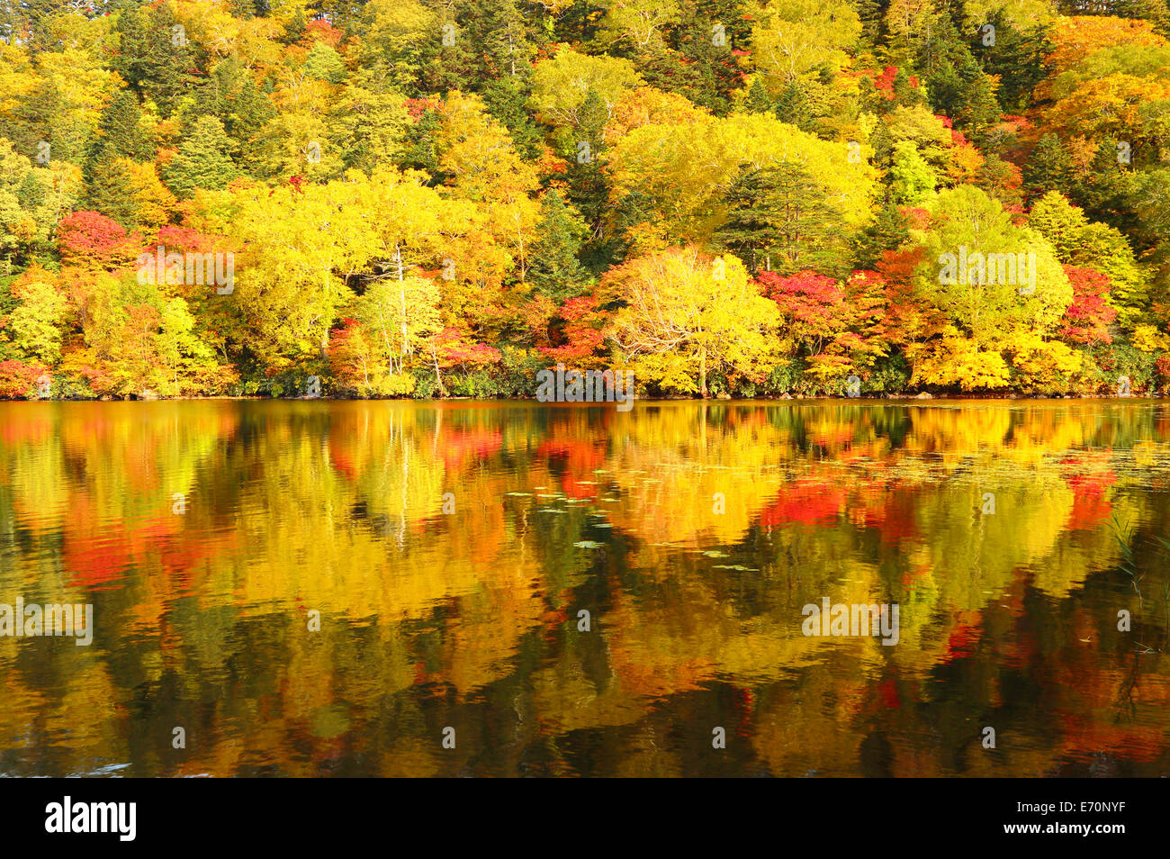 Naganuma lake hi-res stock photography and images - Alamy