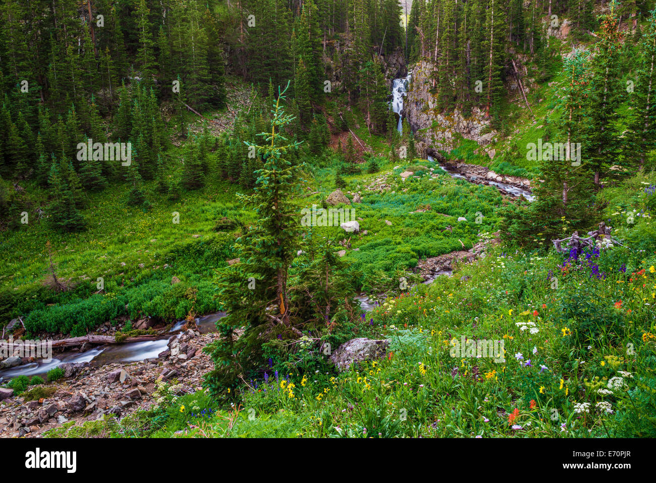 Beautiful mountain valley river hi-res stock photography and images - Alamy