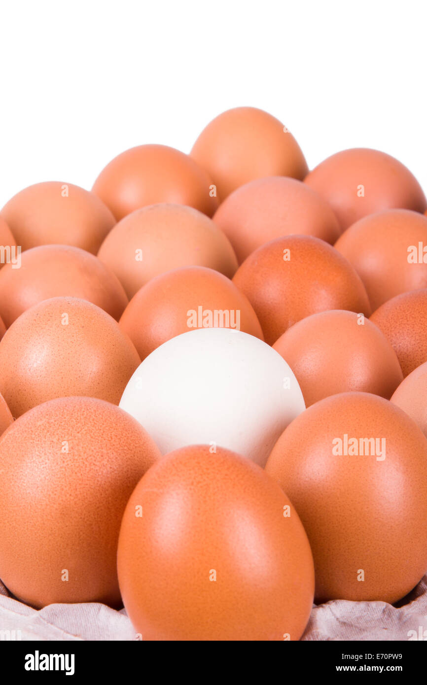 Healthy organic eggs, white egg standing out Stock Photo - Alamy