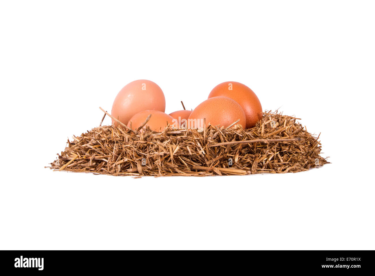 Side view of organic and natural eggs in nest, isolated on white ...