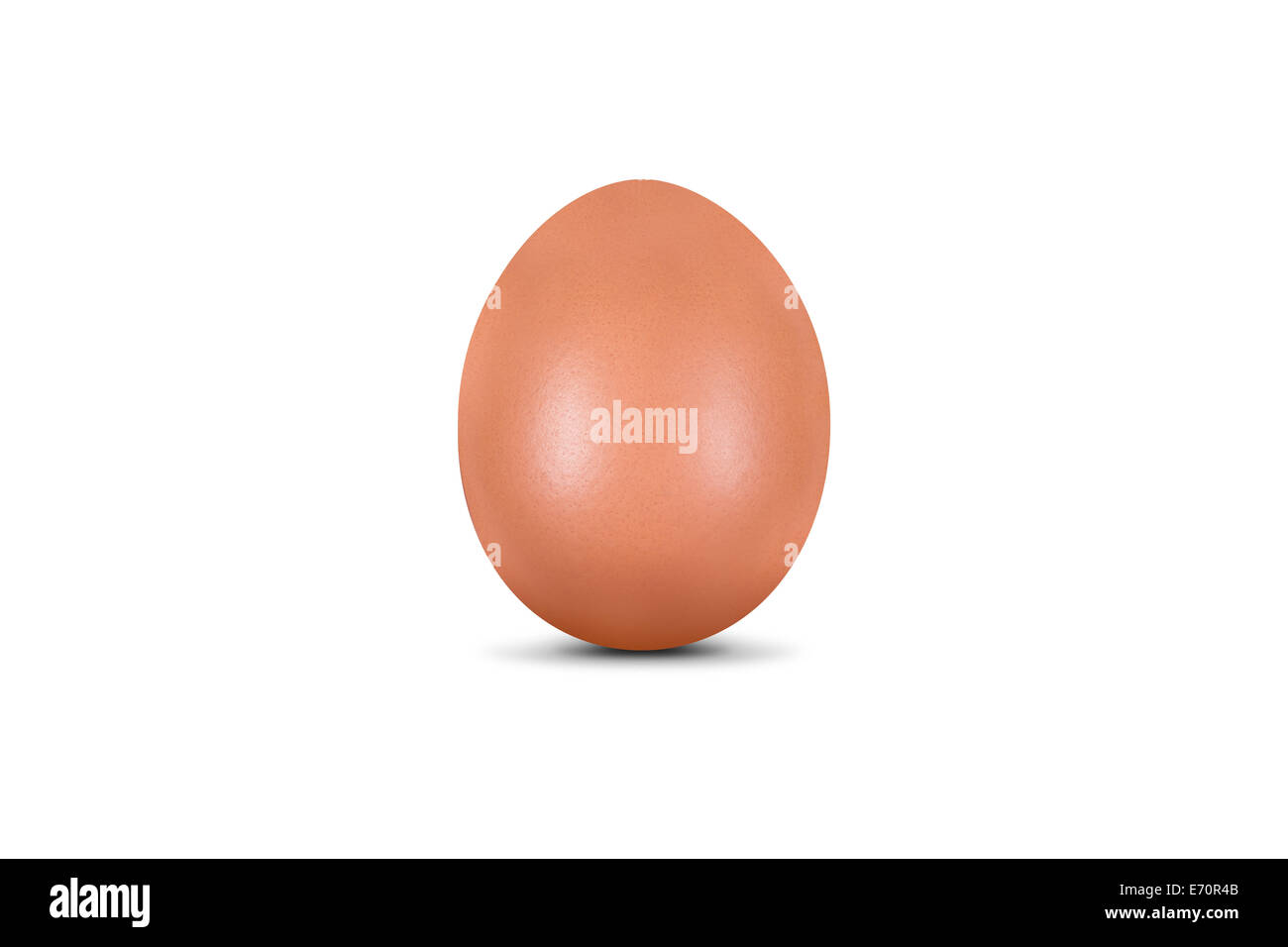 Front view of single organic egg, isolated on white background Stock ...