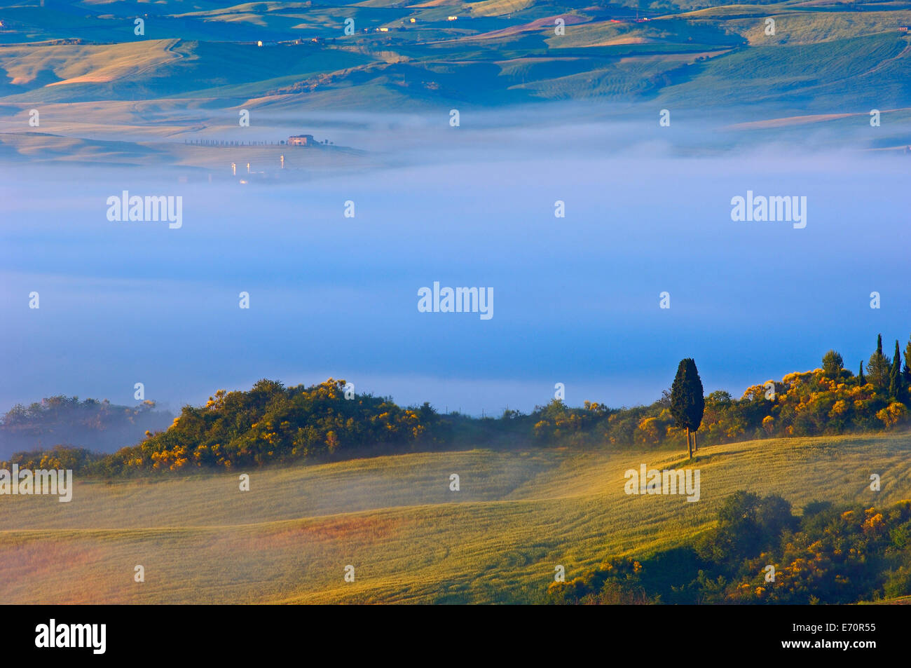 Val d'Orcia, Orcia Valley at dawn,Morning fog, UNESCO World Heritage ...
