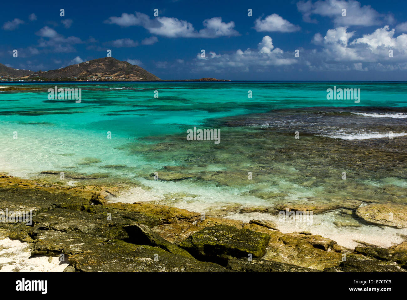 Beach Side View from a Tranquil Caribbean Beach with Stunning Ocean ...