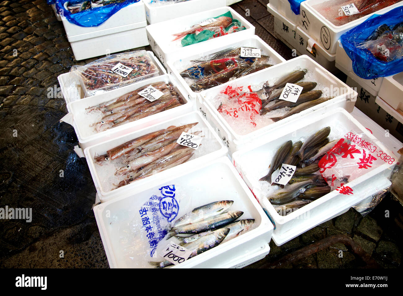 Tsukiji fish market, Tokyo, Japan, Asia, the largest wholesale seafood ...
