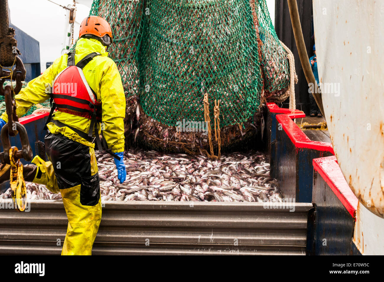 Pollack fishing in the Bering Sea - July 2014 Stock Photo - Alamy