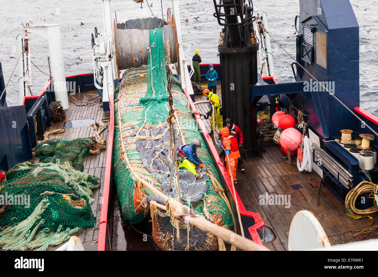 Pollack fishing in the Bering Sea - July 2014 Stock Photo - Alamy
