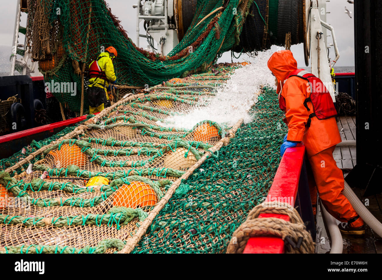 Pollack fishing in the Bering Sea - July 2014 Stock Photo - Alamy